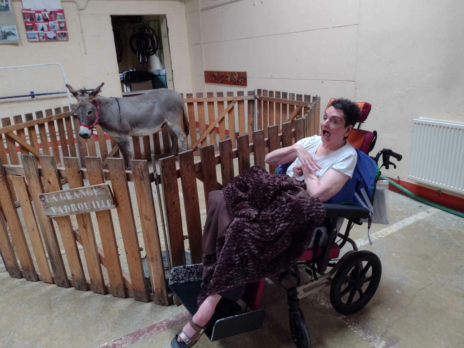 Nos réalisations – Le Chateau Vert ASBL